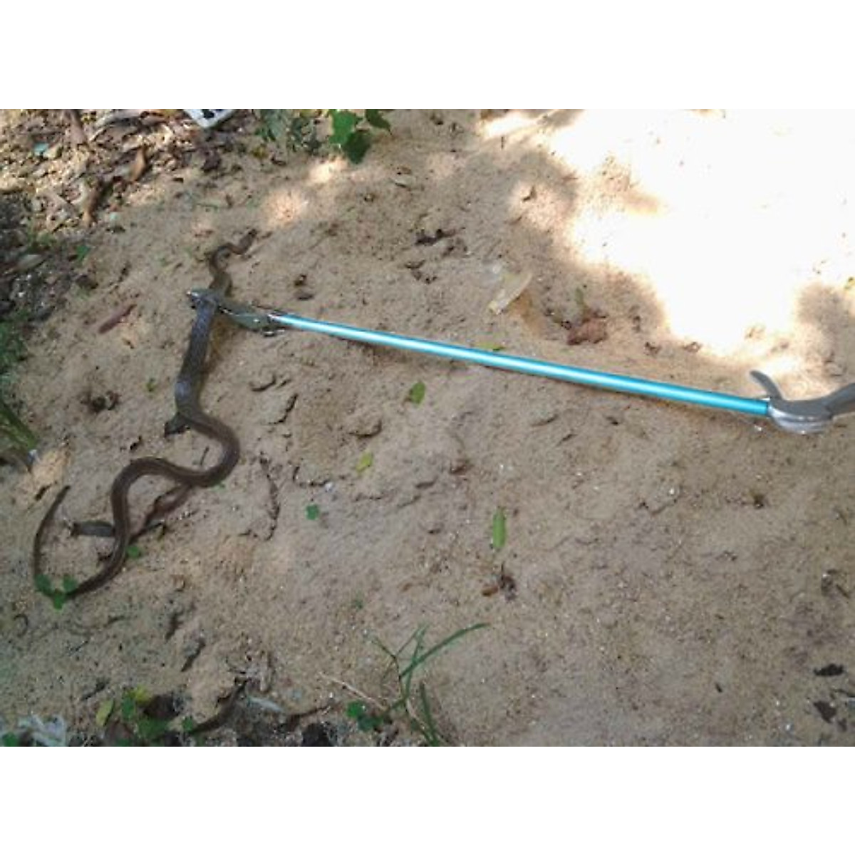 Reptile Tongs (40" Snake Tongs)