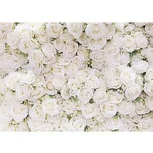 White Rose Floral Photography Backdground Rose Theme Valentines Day Party Bridal Shower Party Decoration Backdrop (7x5FT)