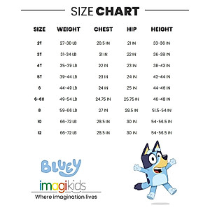 Bluey Bingo Toddler Girls Fleece Hoodie and Leggings Outfit Set Pink/Purple 2T