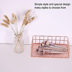 Fdit Storage Basket,Rose Gold Iron Storage Basket Organizer Shelf Storage Rack Desk Decor for Office,Home and Student Desk(D)
