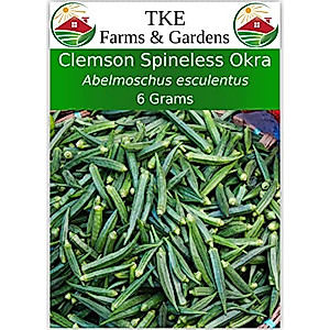 TKE Farms-Clemson Spineless Okra Seeds for Planting, 6 Grams ≈ 100 Seeds, Abelmoschus esculentus
