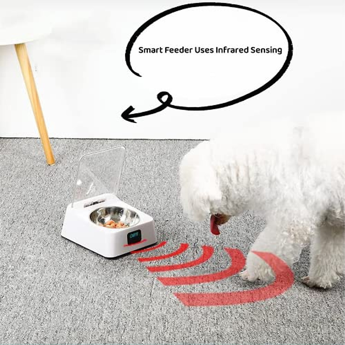 350ml Automatic Smart Cat Feeder Bowl Sensitive Open Cover Pet Feeder Transparent Lid Prevent Slip IR Induction for Small Pet for Dogs