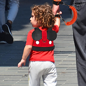 Accmor Toddler Leash Harness, Child Harness Baby Leash + Anti-Lost Wrist Link, Cute Kids Harness with Walking Assistant Strap Belt Tether for 1-5 Years Boys and Girls to Zoo or Mall