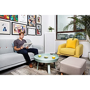 Smart Health Blast (HEPA + Carbon) Air Purifier (Blast with HEPA and Carbon (VOC) Filters)