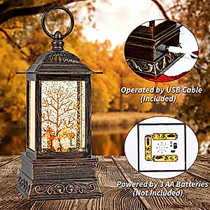 Gnome Snow Globe Fall Decorations for Home, Thanksgiving Glittering Lighted Lantern Autumn Decor