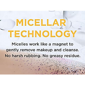 Garnier SkinActive Micellar Water for Oily Skin, Facial Cleanser & Makeup Remover, 13.5 fl. oz, 1 count (Packaging May Vary)