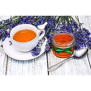 1400 English Lavender Seeds for Planting Indoors or Outdoors, 90% Germination, to Give You The Lavender Plant You Need, Non-GMO, Heirloom Herb Seeds (1 Pack)