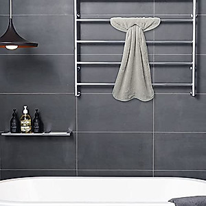 R HORSE 4Pcs Grey Hand Towels with Hanging Loops, Absorbent Coral Fleece Gray Kitchen Hanging Hand Towel Soft Thick Oven Towel Dish Cloth Dry Towel for Kitchen Bathroom