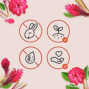 Love Beauty And Planet Silicone Free Conditioner Detox and Nourishment Black Tea Kombucha & Red Ginger Hair Care for Soft & Shiny Hair, Floral, 32 Fl Oz