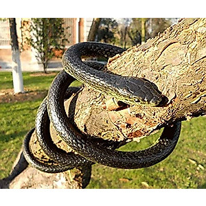 Yoogeer 47 Inches Rubber Lifelike Snakes Scary Gag Gift Incredible Creatures Chain Snakes Rain Forest Snake Toys Wild Life Snakes