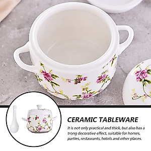 Hemoton Cereal Containers Ceramic Stew Pot with Lid Spoon Food Serving Bowl Kitchen Steaming Bowl Home Stockpot Steam Soup Bowl Steaming Cup for Home Kitchen Cereal Container