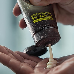 Just For Men Control Gx 5 Ounce Shampoo Grey Reducing Boxed (147 Milliliter)