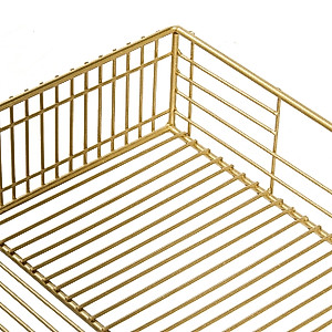 CosmoLiving by Cosmopolitan Metal Wire Tray, Set of 2 17", 19"W, Gold