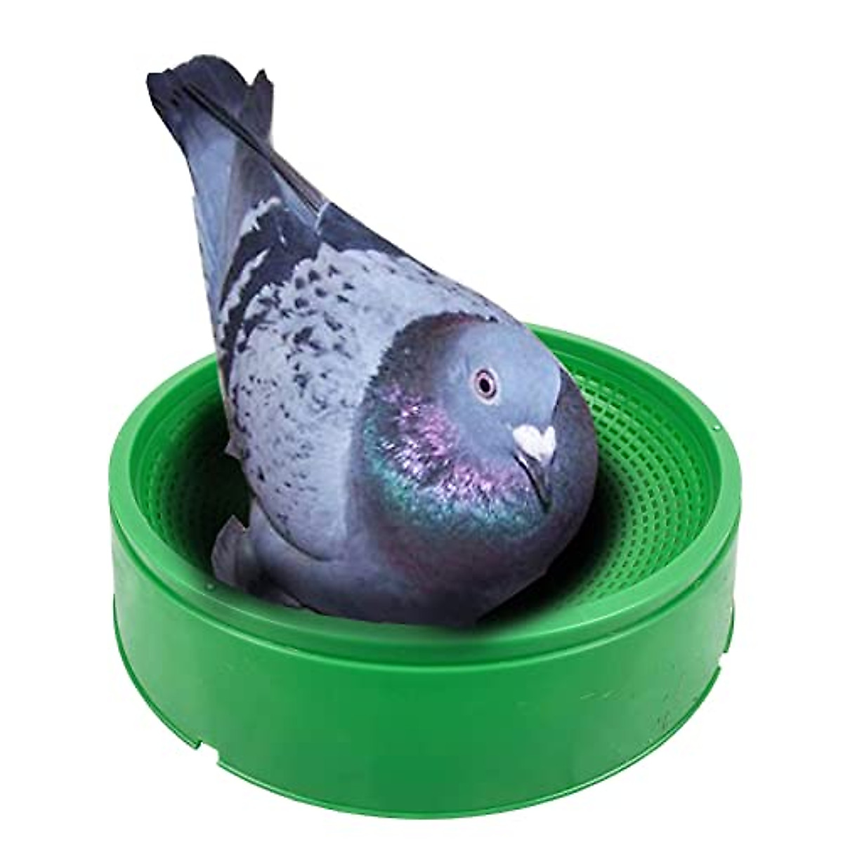 SRRPSPIGEON Pigeon Nest Plastic Bird Nesting Bowls 4pc Bird Nest Bowl Breeding Hatching Nest for Pigeons, Quails, and Small Birds