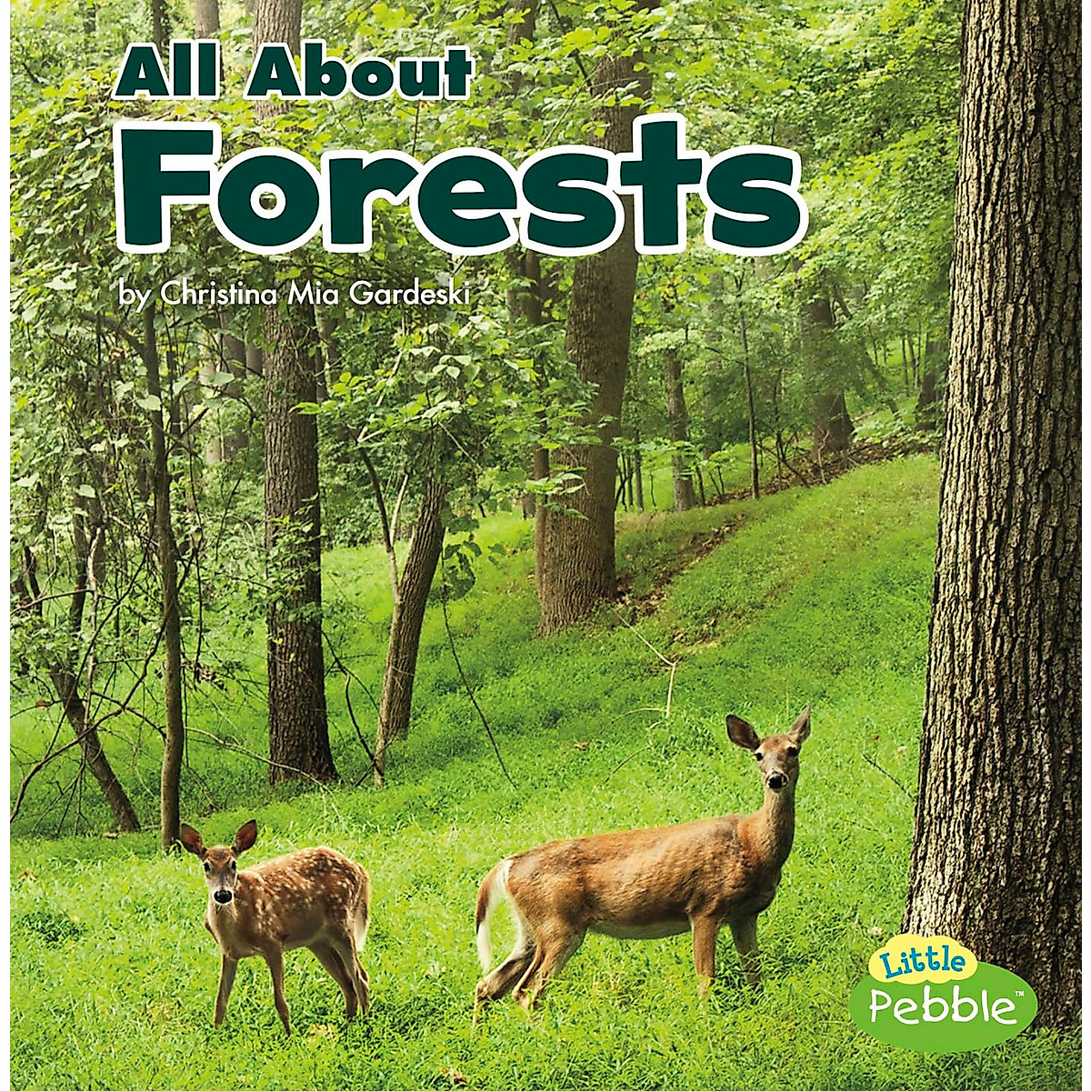 All About Forests (Habitats)