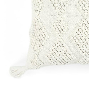 Lush Decor Lush Décor Julie Tassel Decorative Pillow Snow White Single 18X18