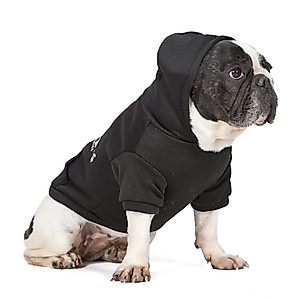 Friends the TV Show WB Friends Dog Hoodie, Black with Friends Logo, Size Medium with Hood and Pocket for Treats or Waste Bags | Friends Show Pet Products| Pet Clothes for Friends Lovers (FF20719)