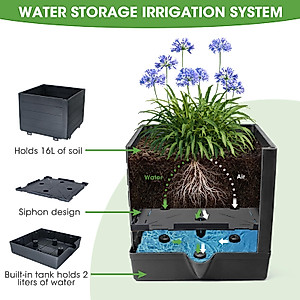 MYMULIKE Raised Garden Bed Planter Box with Trellis, 58” Tomato Cage Planter Raised Garden Bed with Trellis for Climbing Vegetables Plants Tomato Cage w/Self-Watering, Indoor Outdoor Use (2)