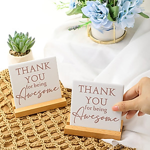 Sieral 6 Packs Christmas Coworker Appreciation Gifts Inspirational Desk Decor Motivational Thank You Signs Thank You Gifts for Coworkers Teacher Employee Medical Assistant