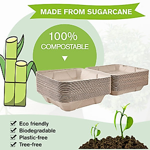 ECOLipak 50 Pack Clamshell To Go Containers, 100% Compostable Disposable Take Out Food Containers, 8X8 inch Heavy-Duty To Go Boxes, Eco-Friendly Biodegradable To Go Containers For Food