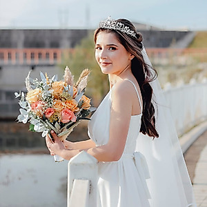 Crystal Crown and Silver Sash Kit, Bridal Shower Decorations Bachelorette Party Favors, Wedding Tiara and Glitter Sash for Bride