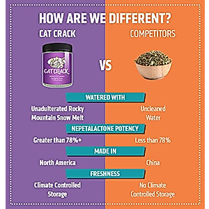 Cat Crack Catnip 1 Cup Bundled with Organic Catnip 1 Cup, Premium Blend Safe for Cats, Infused with Maximum Potency Your Kitty is Sure to Go Crazy