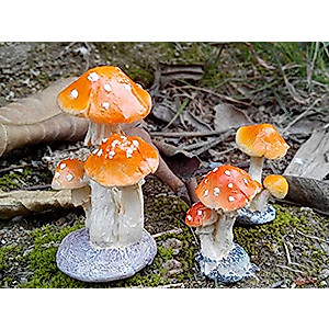 6 Pcs Mini Mushroom Miniature Figurines Resin Figurines Fairy Garden Miniature Moss Landscape DIY Terrarium Crafts Ornament Accessories for Home Décor