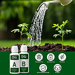 QYO Base A & B Nutrients(200ml in Total), Plant Growing Nutrient Plant Food for All Plants, All-Purpose Concentrated Fertilizer for Any Hydroponics System, Potted Houseplants, for Outdoor & Indoor