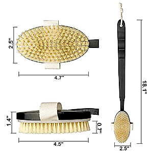 OWIIZI Black Bath Brush Wooden Curved Long Handle Body Brush for Exfoliating, Natural Bristle Shower Scrubber for Back Use Wet or Dry