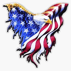 USA Flag Bald Eagle American Flag Sticker Vinyl Decal Bumper Sticker 5"