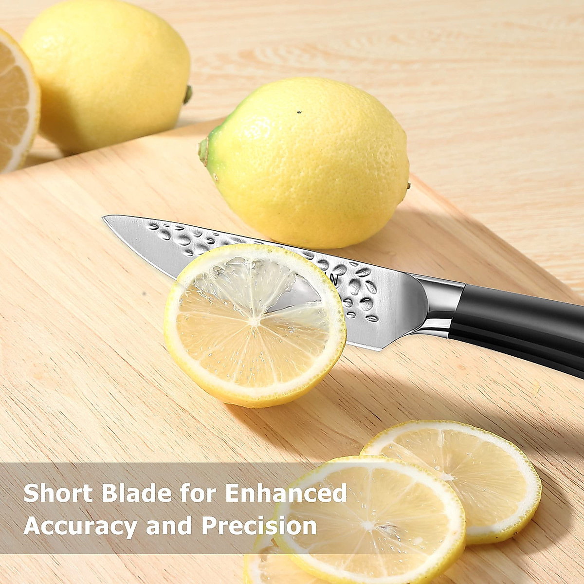 PAUDIN Paring Knife, 3.5 Inch Paring Knives for Kitchen, Fruit Knife, Tomato Knife, Sharp High Carbon Stainless Steel Fruit Carving Knife with Ergonomic ABS Handle, Handcrafted Peeling Knife