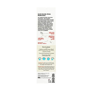 RADIUS Toothbrush Source Floss Brush BPA Free & ADA Accepted Improve Gum Health & Reduce Gum Issues - Medium - Money - Pack of 1