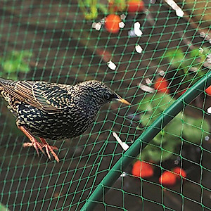 HSelar Best Bird Netting - Protect Plants and Fruit Trees from Birds and Wildlife – 13.12Ft x 49.2Ft Bird Netting with 50 Pcs Nylon Cable Ties - Reusable Instantly (Large Size)