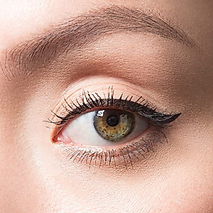 LORAC PRO Liquid Eyeliner, Black | Precision Brush Tip | Water Resistant | Long Lasting | Smudge Resistant