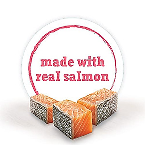 Purina Beneful Small Breed Wet Dog Food With Gravy, IncrediBites with Real Salmon - 3 oz. Cans 3 Count (Pack of 8)