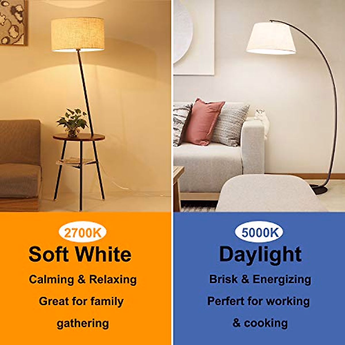 12Packs Vintage LED Edison Bulbs, 60W Equivalent 7W, 800Lumens, Dimmable ST64 Antique LED Filament, Daylight White 5000K, E26 Medium Base Light Bulbs High Brightness Clear Glass for Bedroom Office