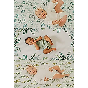 NODNAL CO. 3 Fitted Bassinet Sheets Leafy Set - 100% OEKO-TEX Cotton for Baby Girl/Boy - Gender Neutral Leaves, Floral Eucalyptus Greenery - Cradle/Moses Basket Hourglass Oval Rectangle Mattress Sheet