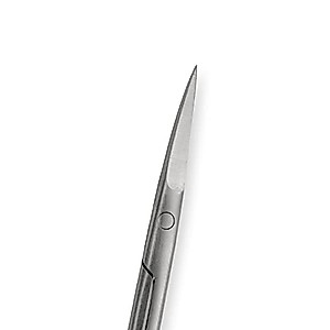 Amazon Basics Beauty Scissors, Stainless Steel, Silver