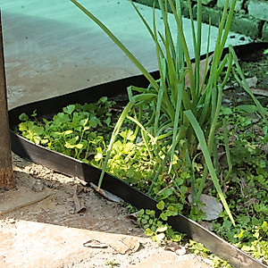 Gardzen 1.5" x100' Landscape Edging Kit, Garden Edging Coil Comes with 120 Pcs Spikes, No Dig Lawn Border Design