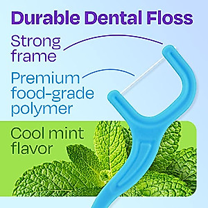 Trueocity Dental Flossers Brush Picks 4 Pack w/Travel Case (200 Total Count), Dental Floss Glides Easy Between Teeth, Flosser Helps Prevent Tooth Decay & Gum Disease, Easy Grip Handle, Mint Flavored