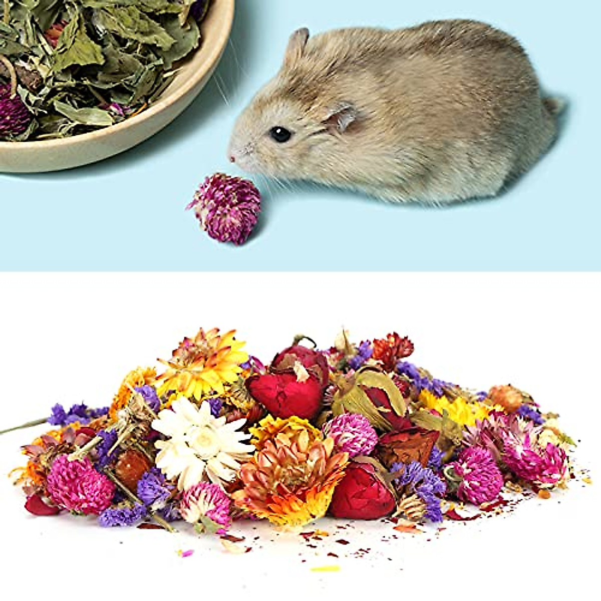 GLOGLOW Small Pet Bedding, Dried Flowers Padding for Squirrels Guinea Pigs Rabbits Chinchillas Hamsters Gerbils(100g) Treats