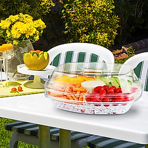 MOLIGOU Chilled Serving Tray, Ice Party Platter with Lid, 4 Compartments Appetizer Serving Tray on Ice