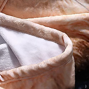 SXCHEN Blankets Plush Sofa Bed Throw Blanket Funny Pug Dogs Pet Animal 60"x80"