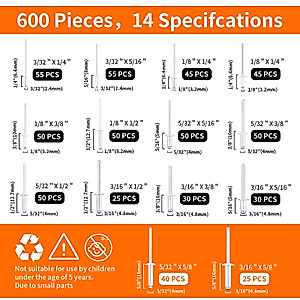 600pcs Pop Rivets Assortment Kit, 14 Sizes Aluminum Rivets 3/32" 1/8" 5/32" 3/16", Assorted Black Rivets with Reinfored Divider and Labeled Case (Silver)