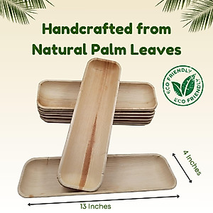 Dtocs Palm Leaf Sushi Tray (10) | 13 x 4 Inch Bamboo Plate Like Disposable Sushi Serving Tray Set, Chicken Wings Serving Tray for Luau, Wedding Parties | Compostable Alternate to Rectangle Paper Plate