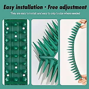 edola Bird Spikes for Outside 20 Pack, Squirrel Cat Dog Pigeon Deterrent, Plastic Animal Defender Spikes for Fence, Keep Cats Birds Away