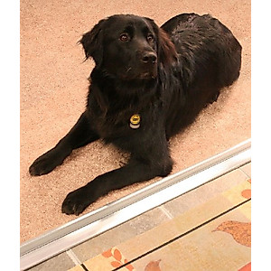 M-D Building Products 8078 72-Inch Deluxe High Threshold with Vinyl Seal