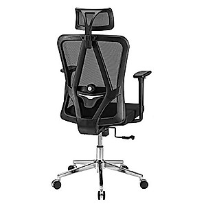 Halter Ergonomic Office Chair with Lumbar Support, Executive Mesh Desk Chair Computer Chair with Swivel, Headrest, and Armrests, Height Adjustable Comfortable Task Chair with Rolling Casters, Black