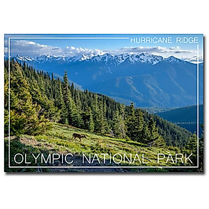 Hurricane Ridge Olympic National Park, Washington Travel Refrigerator Magnet Size 2.5" x 3.5"
