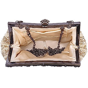 AIJUN Womens Vintage Beaded Evening Bag Sequin Clutch Purses for Women Wedding Clutches Prom Cocktail Party Handbags(Champagne)